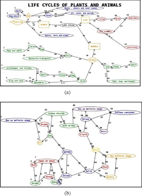 A Concept Map In Topic Of Life Cycles B Concept Map In Topic Of