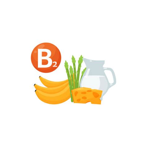 3100개 이상의 비타민 B 컴플렉스 일러스트 스톡 사진 그림 및 Royalty Free 이미지 Istock