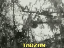 Tarzan Johnny Weismuller  Tarzan Johnny Weismuller Tarzan Call
