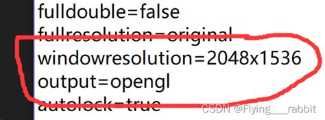 Dosbox初学者常见错误dosboxdebug非法 Csdn博客