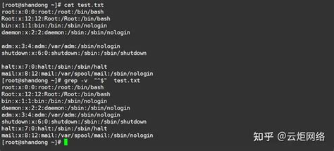 Linux 常用命令 Grepgrep N 查询关键字的 Csdn博客