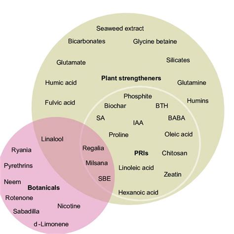 Yulin Gao Professor Full Phd Entomology Institute Of Plant