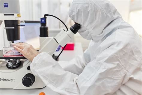 Stem Cell Therapy Procedure What To Expect At Every Step Swiss Medica