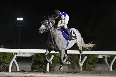 【高知・珊瑚冠賞】ガルボマンボが3馬身差完勝断然人気ユメノホノオは2着