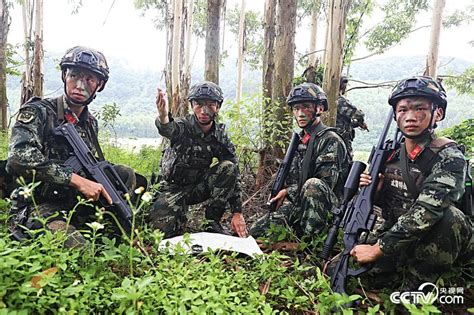 广西南宁：鏖战高温酷暑 野外驻训“火力全开”军事中国网