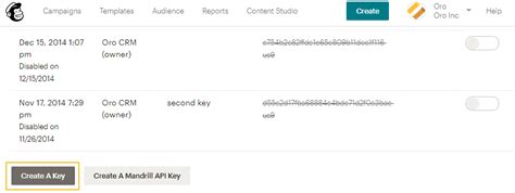Configure Mailchimp Integration In The Back Office Orocommerce Orocrm And Oroplatform