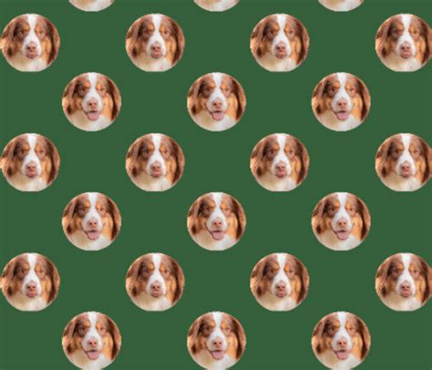 Custom Sleeves Peacock Sleeves