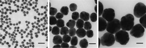 Silver Nanoparticlesnanopowder And Application Of Silver Nanopowders