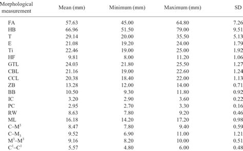 External Cranial And Dental Measurements Of The Intermediate Roundleaf