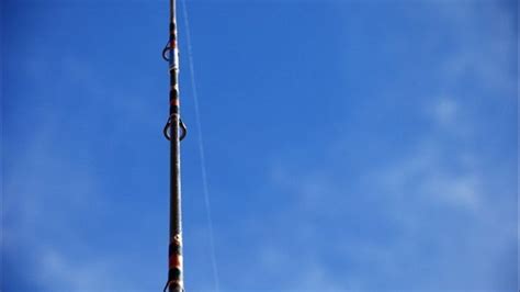 Bosanquet Bay Parmesan Crumbed Flathead Abc News
