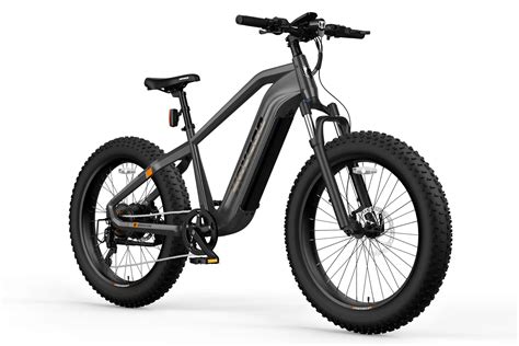 Hovsco Hovalpha E Bike Boj E Bikes Batavia E Bike Shop