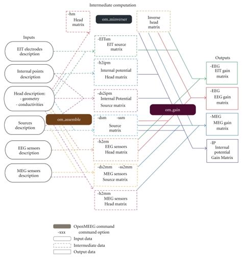 Flowchart Describing The Openmeeg Procedure For Computing Eit Eeg