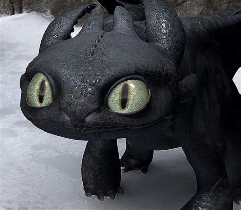 Toothless Gumjob Telegraph