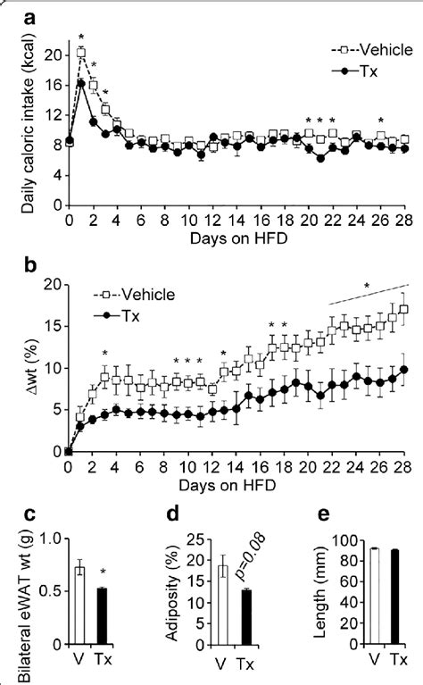 Ini 0602 Prevented Hfd Induced Obesity In Mice A And B Mice Received