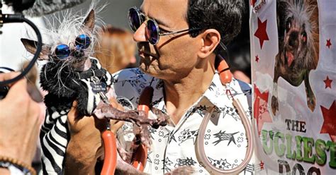 Si Tu Perro Es El Más Feo Del Mundo Tiene Oportunidad De Ganar 1500