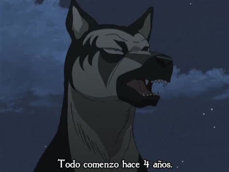 Weed Ginga Densetsu Weed Image 18065604 Fanpop