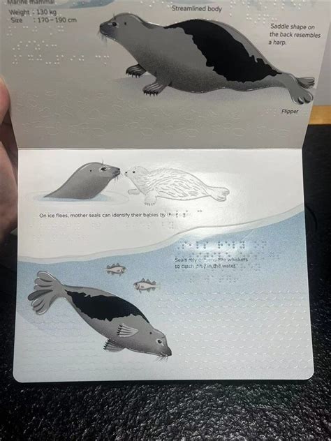 China Braille Book Manufacturers Suppliers Factory Customized Braille