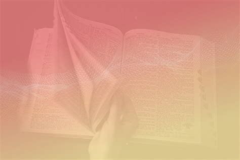 Data Catalog Vs Data Dictionary Use Cases And Examples Data World