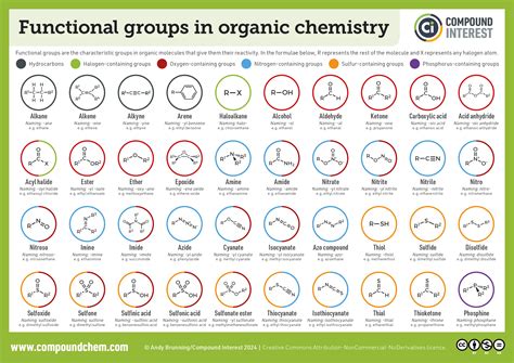 Functional Groups In Organic Chemistry Essential Insights
