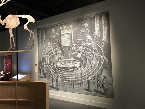 Rcp Loans Artworks To Major National Anatomy Exhibition Rcp Museum