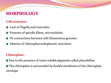 Red Algae Biology Taxonomy Applications Ppt