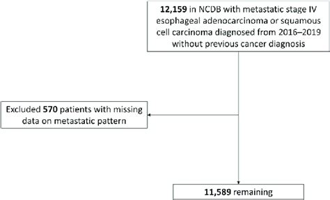 Consort diagram. NCDB, National Cancer Database. | Download Scientific Diagram