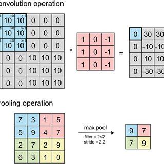 Schematic Illustration Of The Lenetstyle Convolutional Neural Network