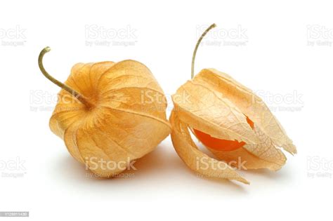 Physalis 과일 또는 절연 골든 베리 0명에 대한 스톡 사진 및 기타 이미지 0명 가을 개체 그룹 Istock