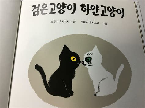 [알라딘서재]검은 고양이 하얀고양이