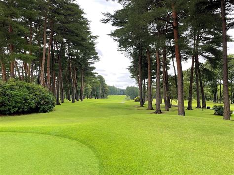 マエシン（前田信吾） Maeshinkagaya • Instagram Photos And Videos