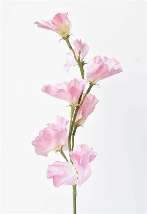 22 Faux Light Pink Sweet Pea Stem Michaels