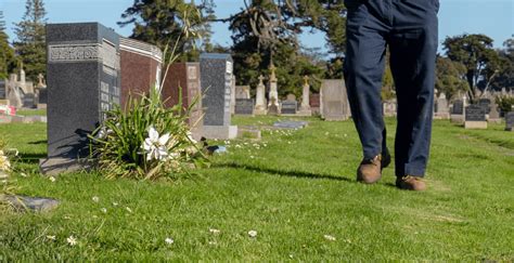 5 Ways Cemetery Software Boosts Plot Management