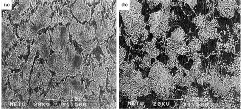 Coarse Pearlite Microstructure