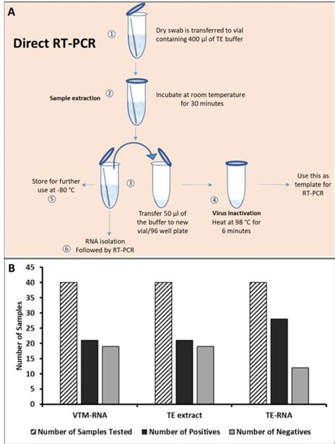 Rna Sample Buffer Recipe Bryont Blog