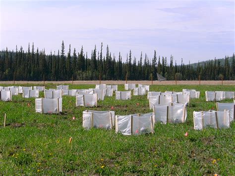 Metabarcoding Fungal Community Responses To Universität Graz