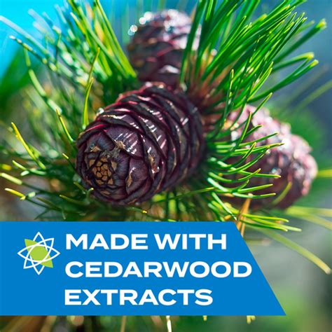 Stem Kills Plant And Garden Insects Plant Pest Spray