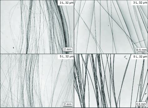 Microscopic Image Of Glass Fibers After Ultrasonic Consolidation 3