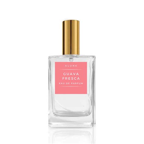 Hibiscus Guava Fresca Inspired Etsy