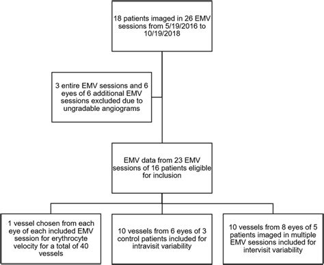 Flowchart Showing Inclusion And Exclusion Of Patients Download