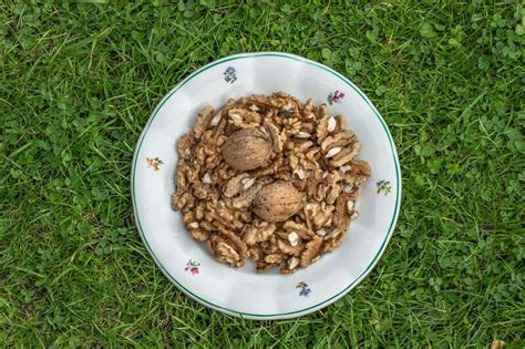 Ceramic Plate Full Of Walnuts And Walnut Kernels In Green Grass Top Viewfresh Raw Walnuts Full