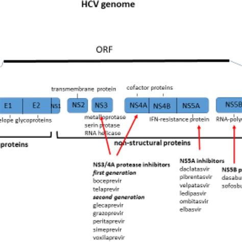 Direct Acting Antiviral Agents Download Scientific Diagram