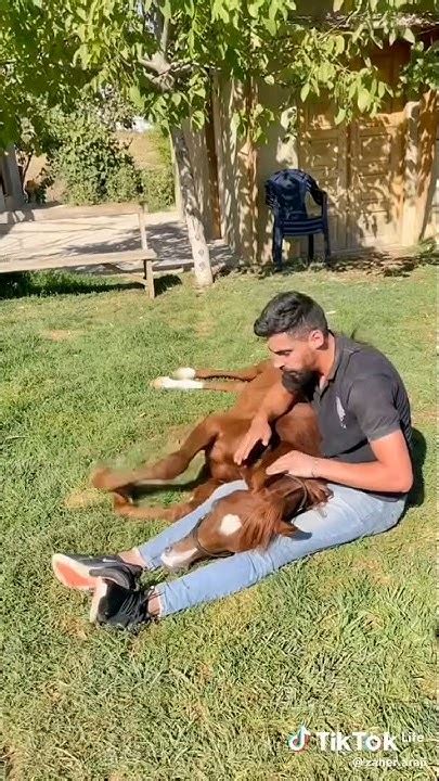 اسپ برای تعلیم دادن Youtube