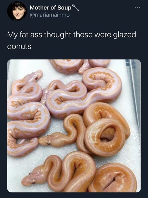 Forbidden Donut R Forbiddensnacks