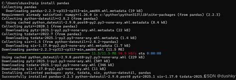 无法从源解析导入“pandas”？无法从源解析导入pandas Csdn博客