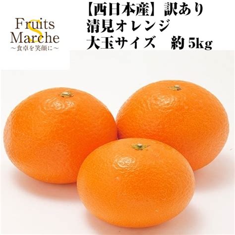 【送料無料】【西日本産】訳あり 清見オレンジ 大玉サイズ 約5kg（北海道沖縄別途送料加算）清見タンゴールみかんミカン密柑訳有の通販