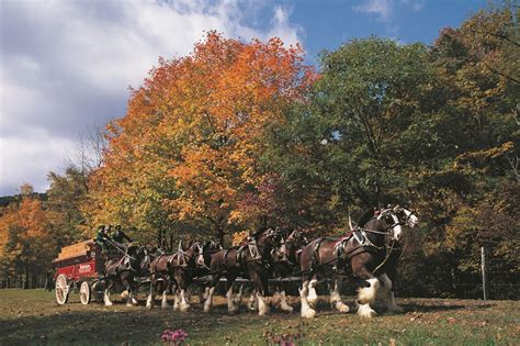 Jordan Mcdermott Roe On Linkedin For The Love Of Beer Cheers 🍻