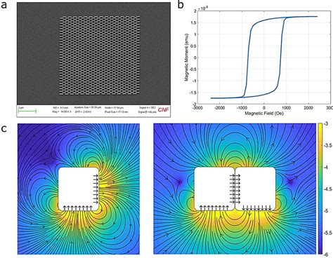 Self Assembling Magnetic Microparticles Mimic Biological Error