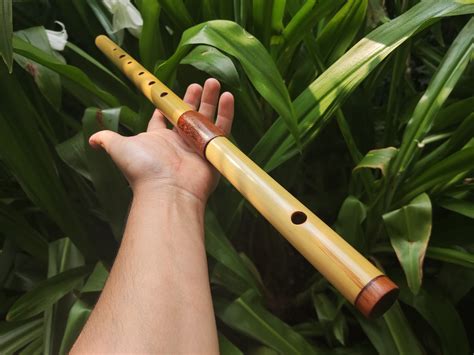 Low D Bamboo Transverse Flute Two Part Bamboo And Rosewood Flute By