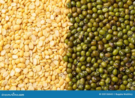 Yellow Peeled Split Mung Bean And Green Mung Bean Seed Stock Image