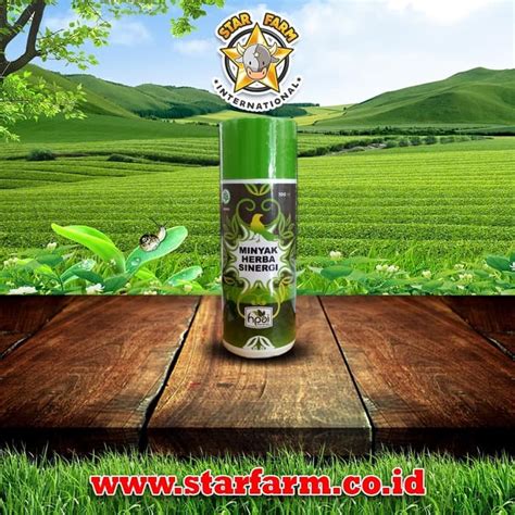 7 Cara Paling Mudah Budidaya Ikan Kakap Putih Bagi Pemula Star Farm